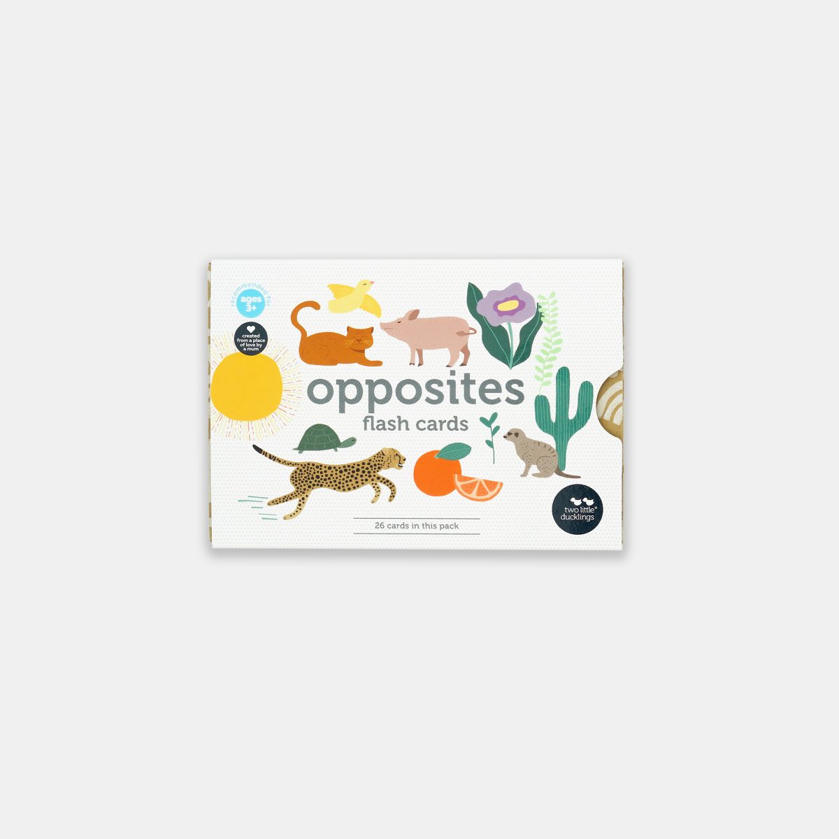 Opposites Flash Cards – Two Little Ducklings